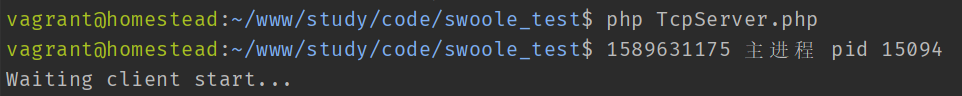 六、phpswoole 实现简单的多进程 Tcp 服务器 · 程威明 · Coding My Life