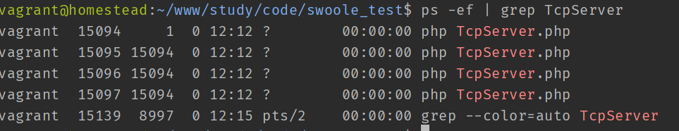 六、phpswoole 实现简单的多进程 Tcp 服务器 · 程威明 · Coding My Life